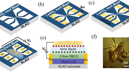 Ionic liquid gating-tuned superconductor–insulator transition in ...