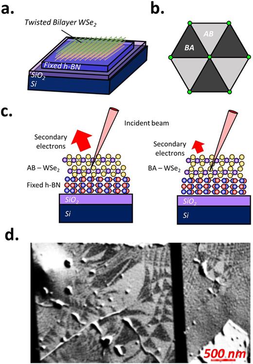 Ultrasonic delamination based adhesion testing for high-throughput ...