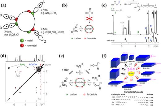 Perovskite quantum dots: Synthesis, applications, prospects, and ...
