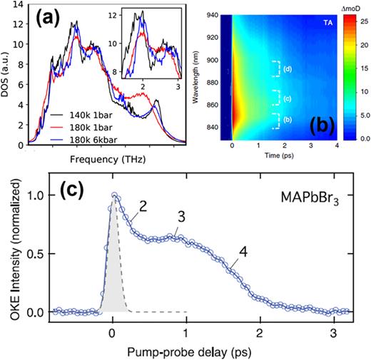 Hybrid perovskites under pressure: Present and future directions ...