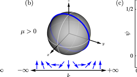 Majorana nanowires for topological quantum computation | Journal of ...