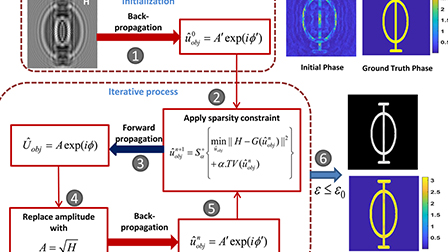 Quantitative phase imaging of biological cells using lensless inline ...