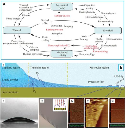 A review of physics of moving contact line dynamics models and its ...