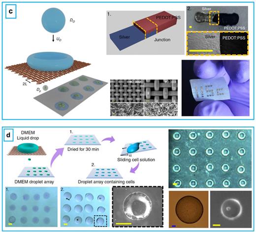 A review of physics of moving contact line dynamics models and its ...