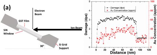 In situ investigation of ion irradiation-induced amorphization of ...