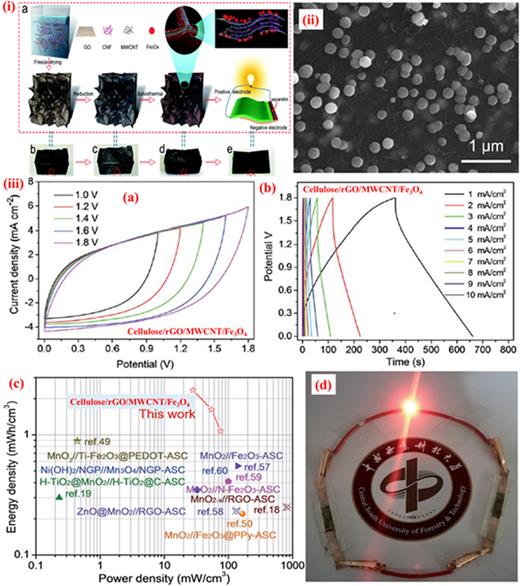 Insight into use of biopolymer in hybrid electrode materials for ...