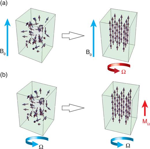 Spin and spin current—From fundamentals to recent progress | Journal of ...