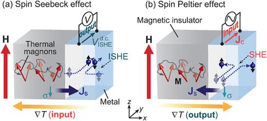 Spin and spin current—From fundamentals to recent progress | Journal of ...