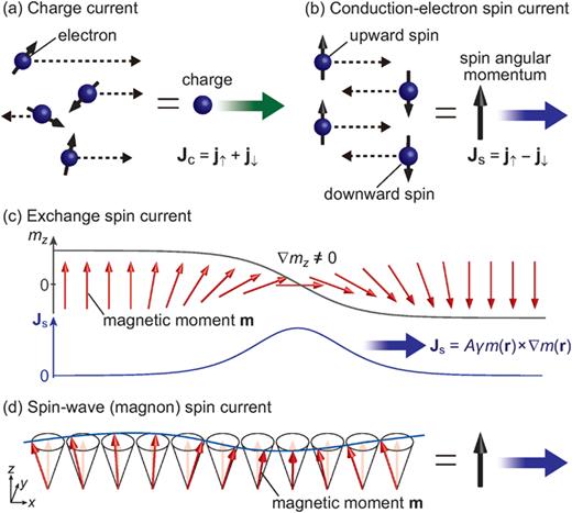 Spin and spin current—From fundamentals to recent progress | Journal of ...