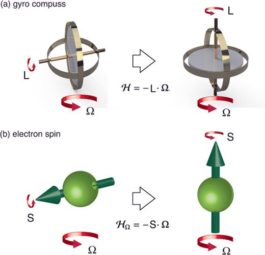 Spin and spin current—From fundamentals to recent progress | Journal of ...