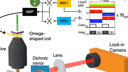 Quantum diamond microscopy with optimized magnetic field sensitivity ...
