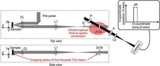 Tutorial: Real-time coherent terahertz imaging of objects moving in one direction with constant ...