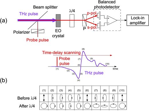 Tutorial: Real-time coherent terahertz imaging of objects moving in one direction with constant ...