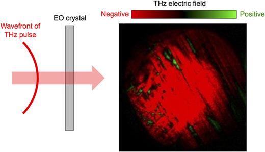 Tutorial Real Time Coherent Terahertz Imaging Of Objects Moving In One Direction With Constant