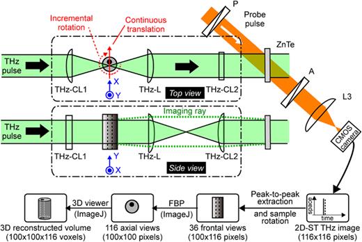 Tutorial: Real-time coherent terahertz imaging of objects moving in one direction with constant ...