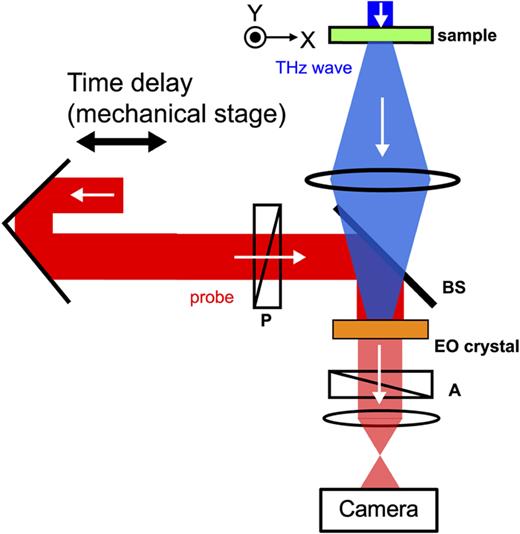 Tutorial Real Time Coherent Terahertz Imaging Of Objects Moving In One Direction With Constant