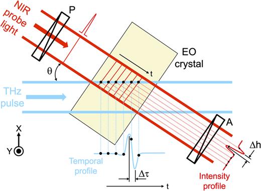 Tutorial: Real-time coherent terahertz imaging of objects moving in one direction with constant ...