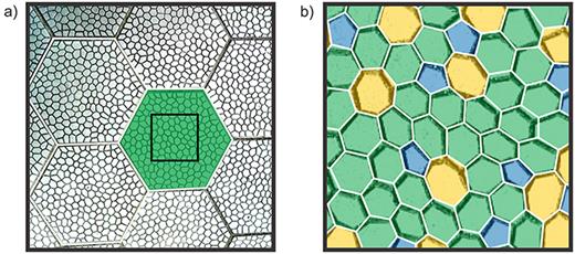 The real honeycomb structure—From the macroscopic down to the atomic ...