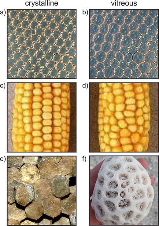 The real honeycomb structure—From the macroscopic down to the atomic ...
