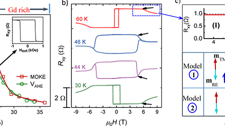 Novel anomalous Hall effect mechanism in ferrimagnetic GdCo alloy ...