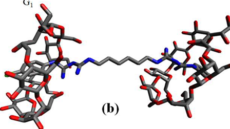 Chlorhexidine/β-cyclodextrin inclusion complexes by freeze- and spray ...