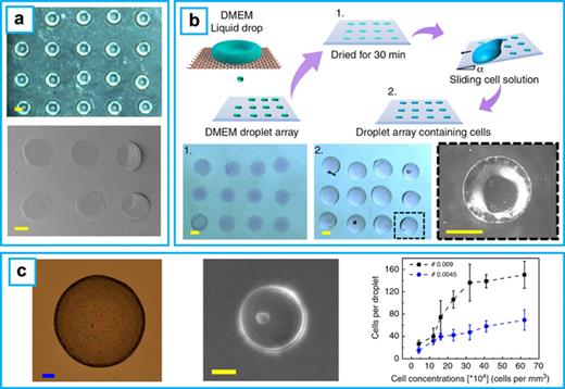 Physics of droplet impact on various substrates and its current ...
