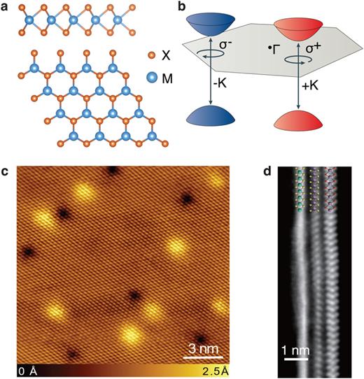 Controlling quantum phases of electrons and excitons in moiré ...