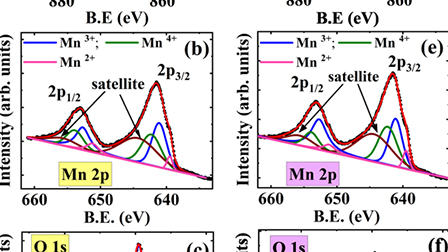 Linear magnetoelectric coupling and type-II multiferroic order in ...