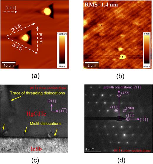 Structural properties and defect formation mechanisms in MBE-grown ...