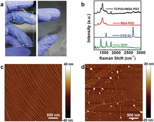 A Perspective on the state-of-the-art functionalized 2D materials ...