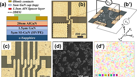 Thermal stability study of gallium nitride based magnetic field sensor ...