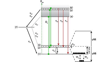 Exploring the spin dynamics of a room-temperature diamond maser using ...