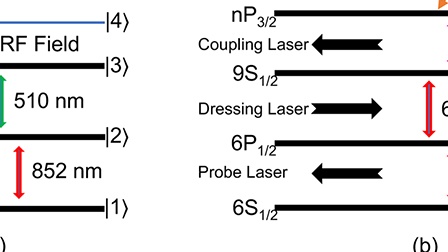 Sensitivity comparison of two-photon vs three-photon Rydberg ...