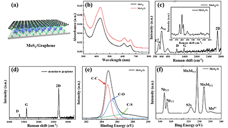 Ultrafast photoinduced carrier transfer dynamics in monolayer MoS2 ...