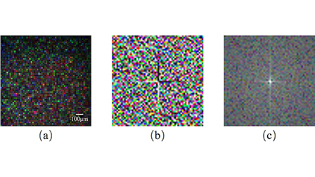 Parallel guidance of wavefront shaping multi-color light focusing based ...