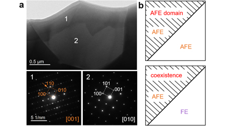 Ferroelectric/antiferroelectric phase coexistence or domain structure ...