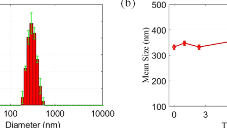 Enhanced thermal ablation via an acoustic vortex with a large focal ...