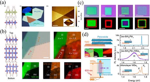 Two-dimensional perovskite heterostructures for single crystal ...