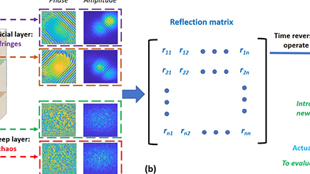 Quantitative spatial resolution enhancement of reflection matrix ...