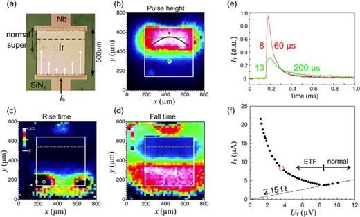 Advances in superconductor quantum and thermal detectors for analytical ...