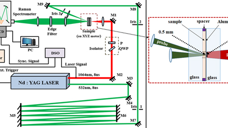 In situ time-resolved Raman spectroscopy of nitromethane under static ...