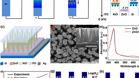 Ultraviolet/visible distinguishable self-powered photodetector enhanced ...
