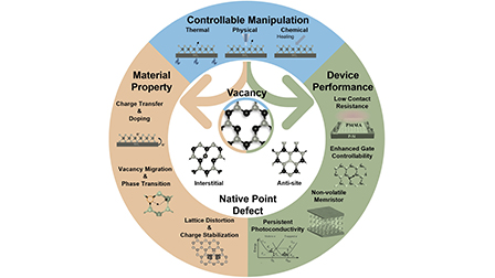 Native point defects in 2D transition metal dichalcogenides: A ...