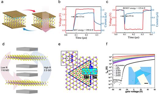 Native point defects in 2D transition metal dichalcogenides: A ...