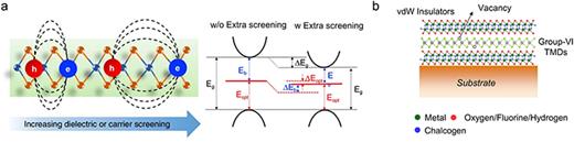 Native point defects in 2D transition metal dichalcogenides: A ...