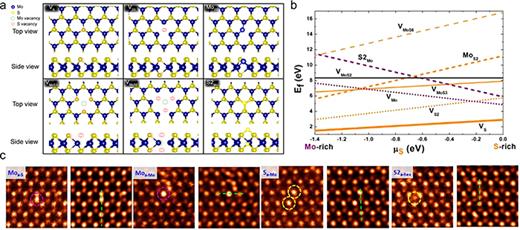 Native point defects in 2D transition metal dichalcogenides: A ...