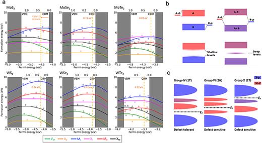 Native point defects in 2D transition metal dichalcogenides: A ...