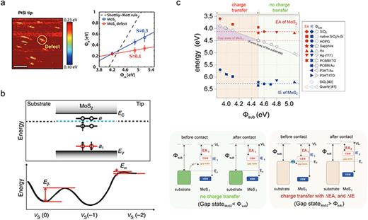 Native point defects in 2D transition metal dichalcogenides: A ...