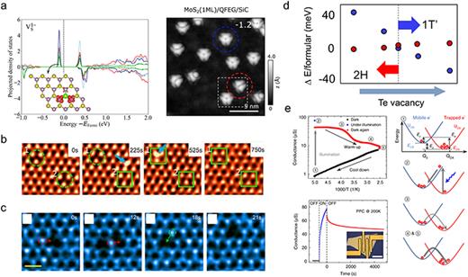 Native point defects in 2D transition metal dichalcogenides: A ...