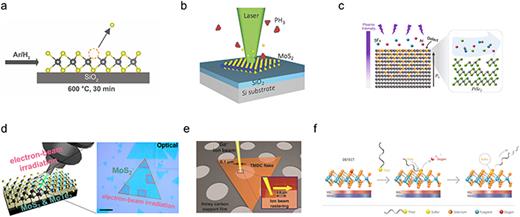 Native point defects in 2D transition metal dichalcogenides: A ...